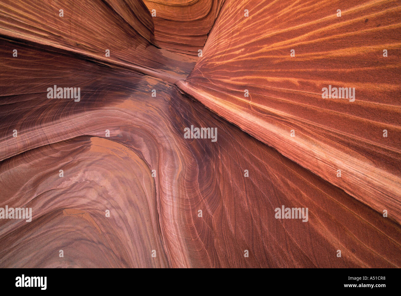 Striations hi-res stock photography and images - Alamy