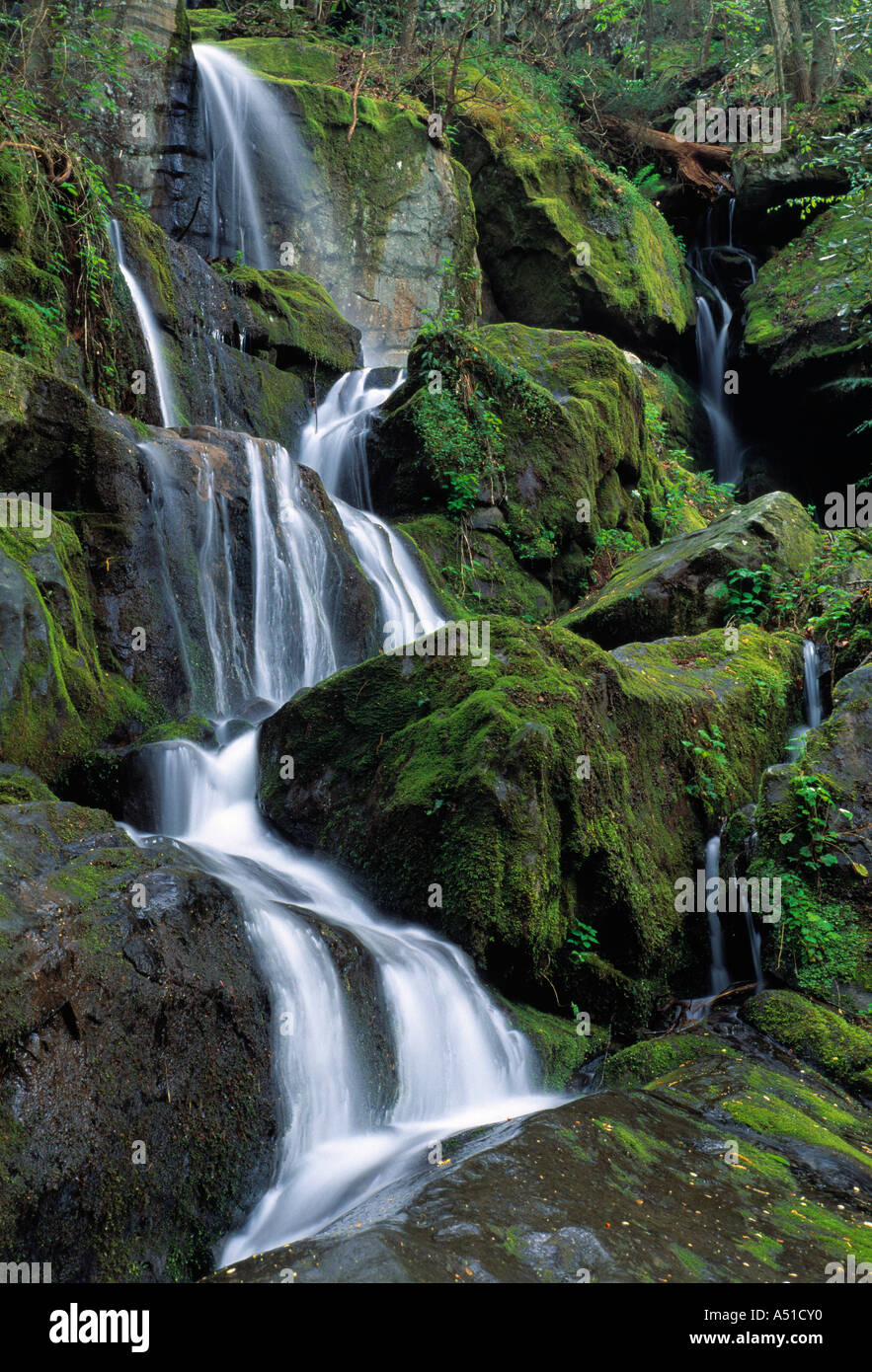 Thousand Drips Waterfall, Roaring Fork Area, Great Smoky Mountains ...