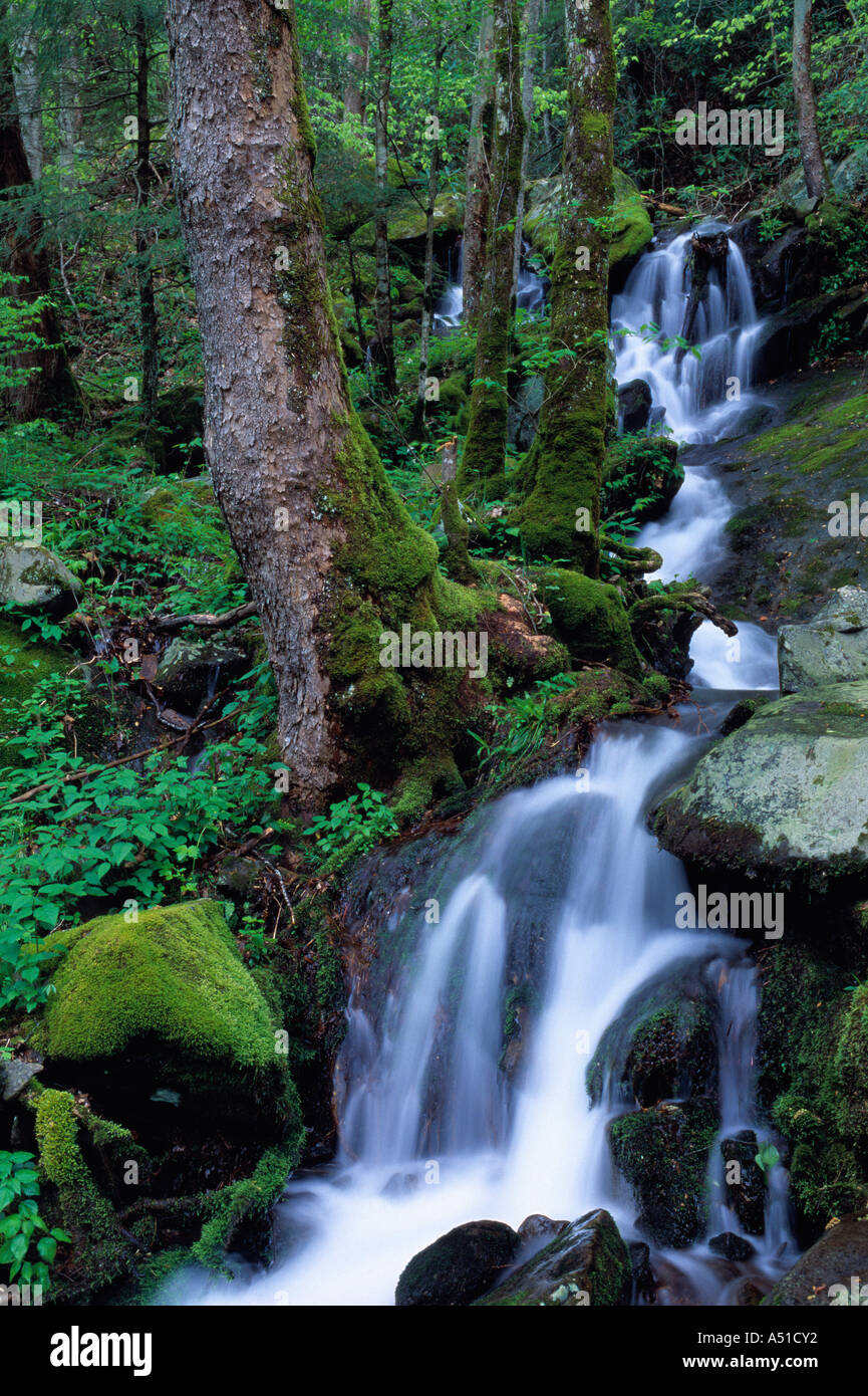 Waterfall pouring down mountainside Stock Photo - Alamy