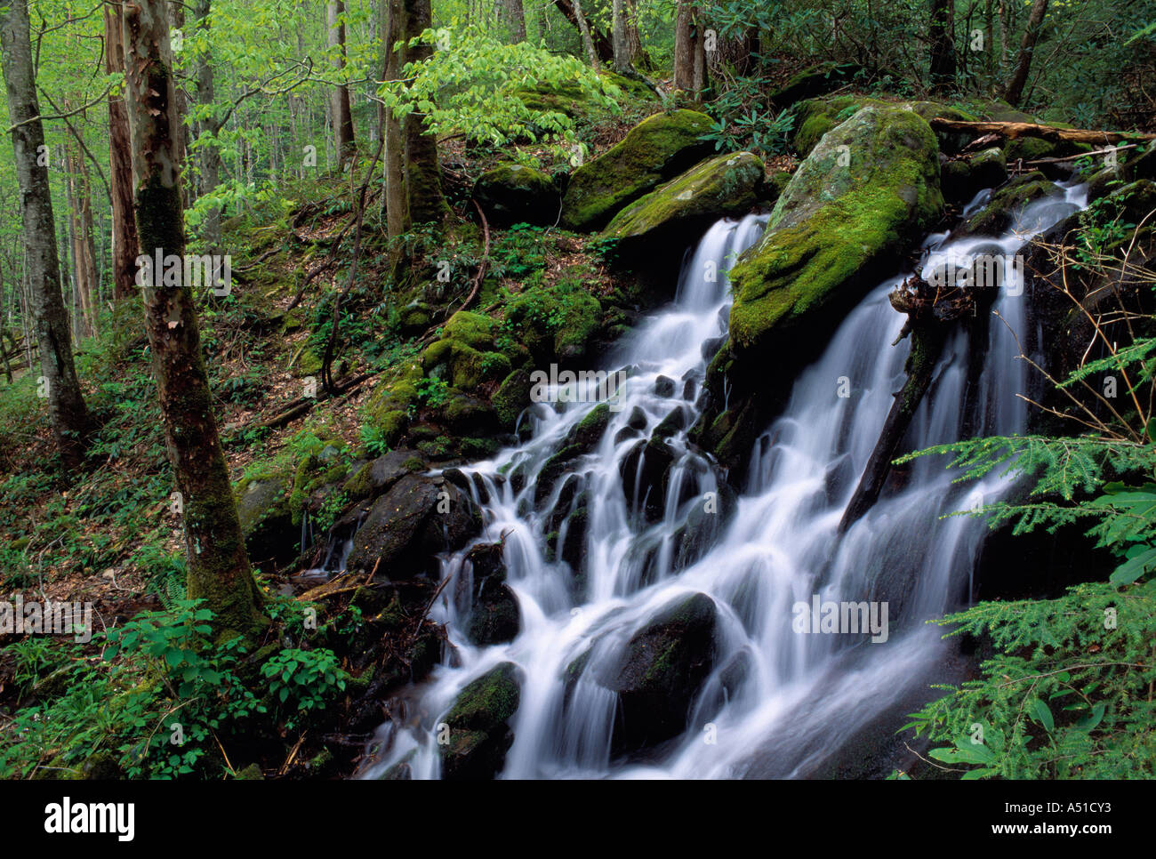 A waterfall, Tremont Area, Great Smoky Mountains National Park ...