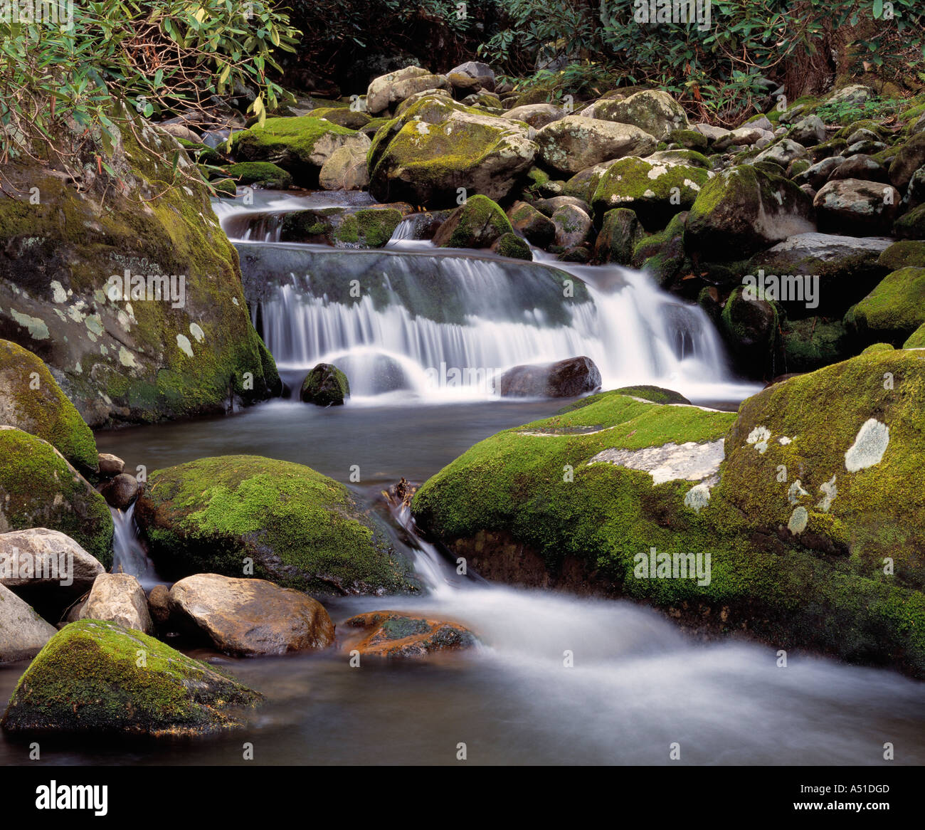 The Roaring Fork River, Colorado, USA Stock Photo - Alamy