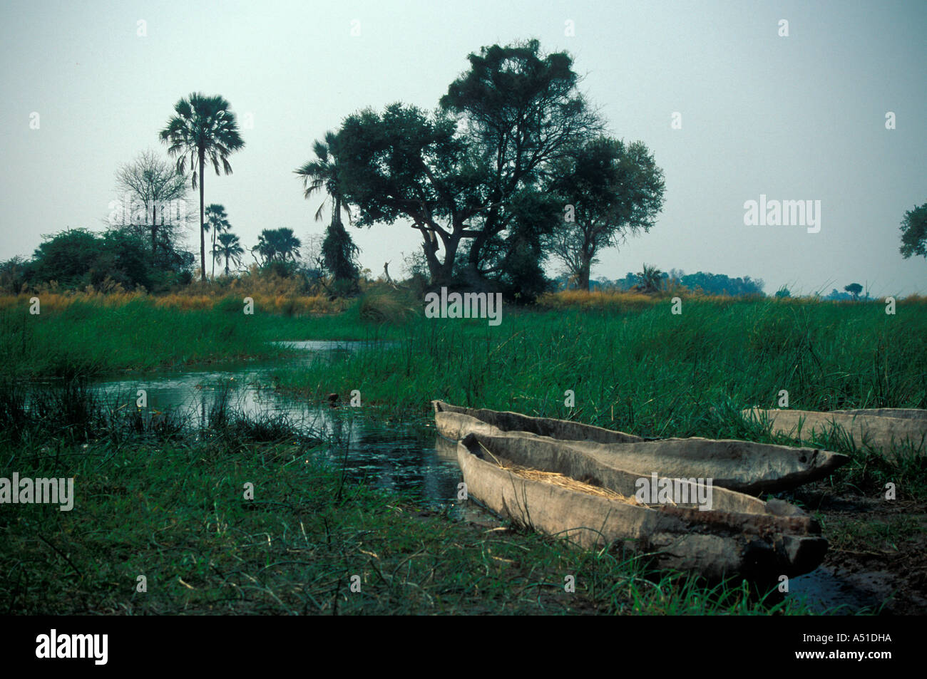 Okavango inland delta hi-res stock photography and images - Alamy