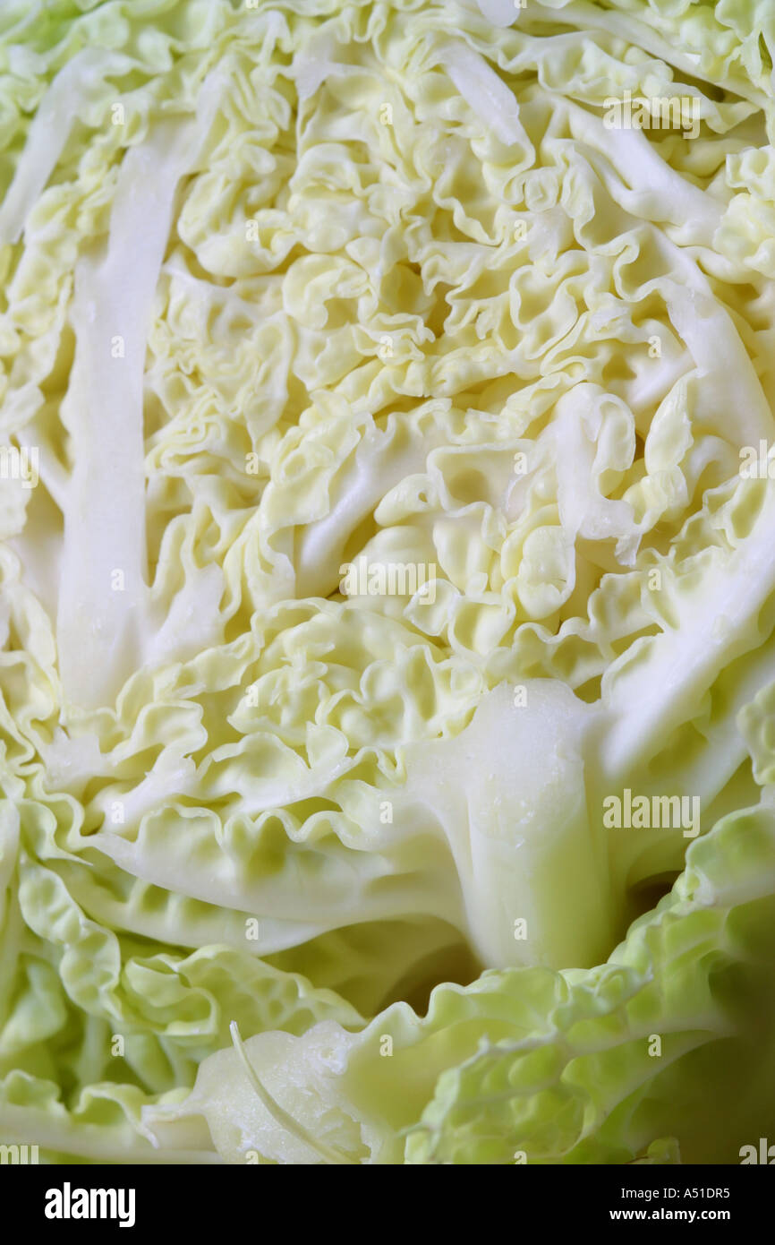 Cabbage white cabbage sliced cross section cut through Stock Photo - Alamy