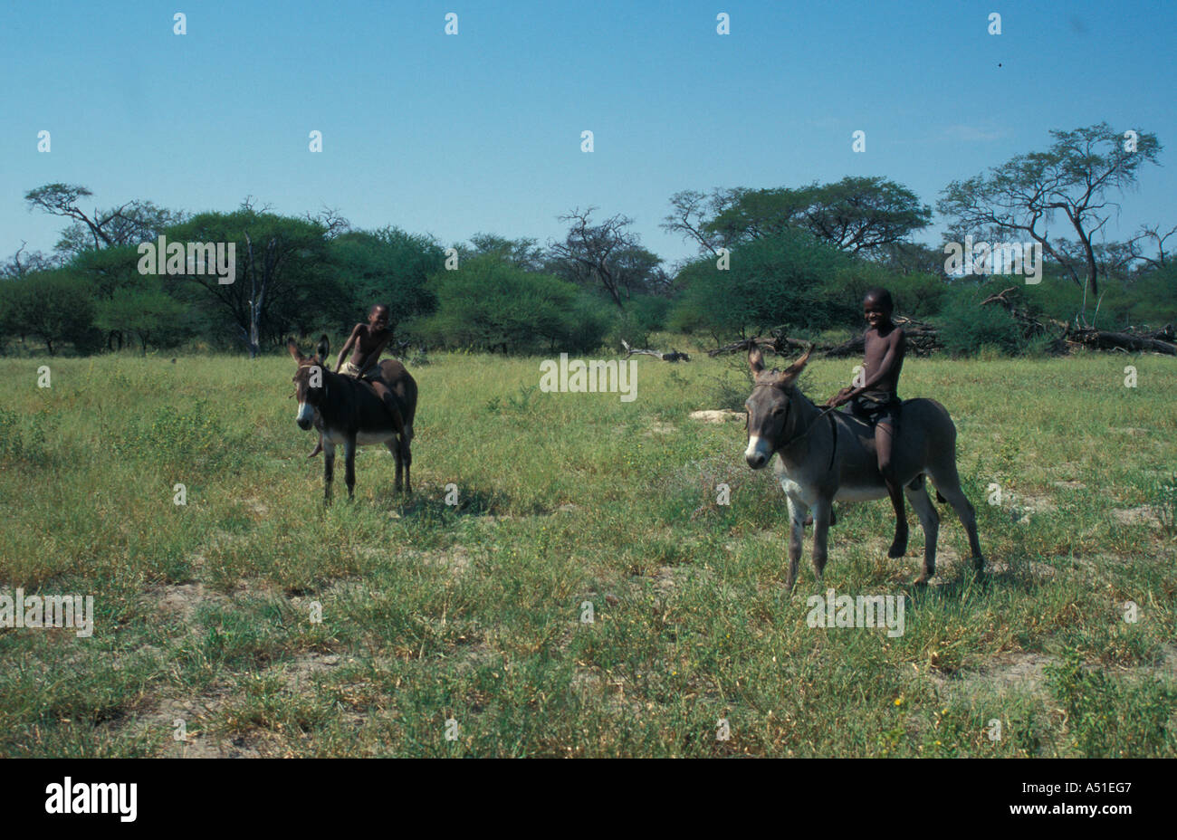 East of Sehithwa boy herdsmen on Donkeys Botswana Stock Photo - Alamy