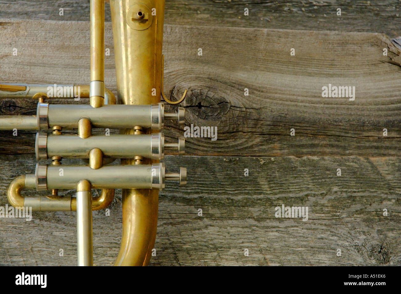 With trumpet hi-res stock photography and images - Alamy