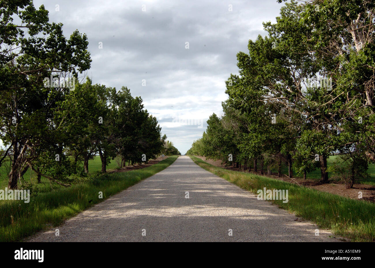 A straight road Stock Photo - Alamy