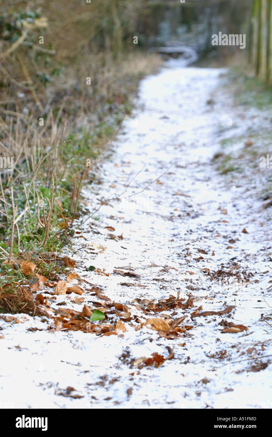 Country lane winter hi-res stock photography and images - Alamy