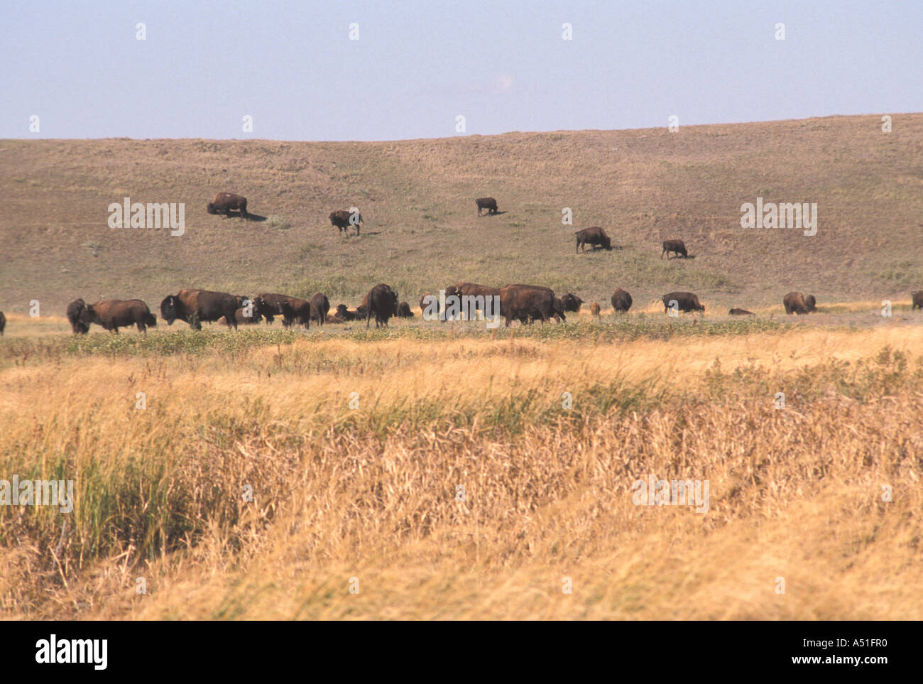 American h symbol hi-res stock photography and images - Alamy