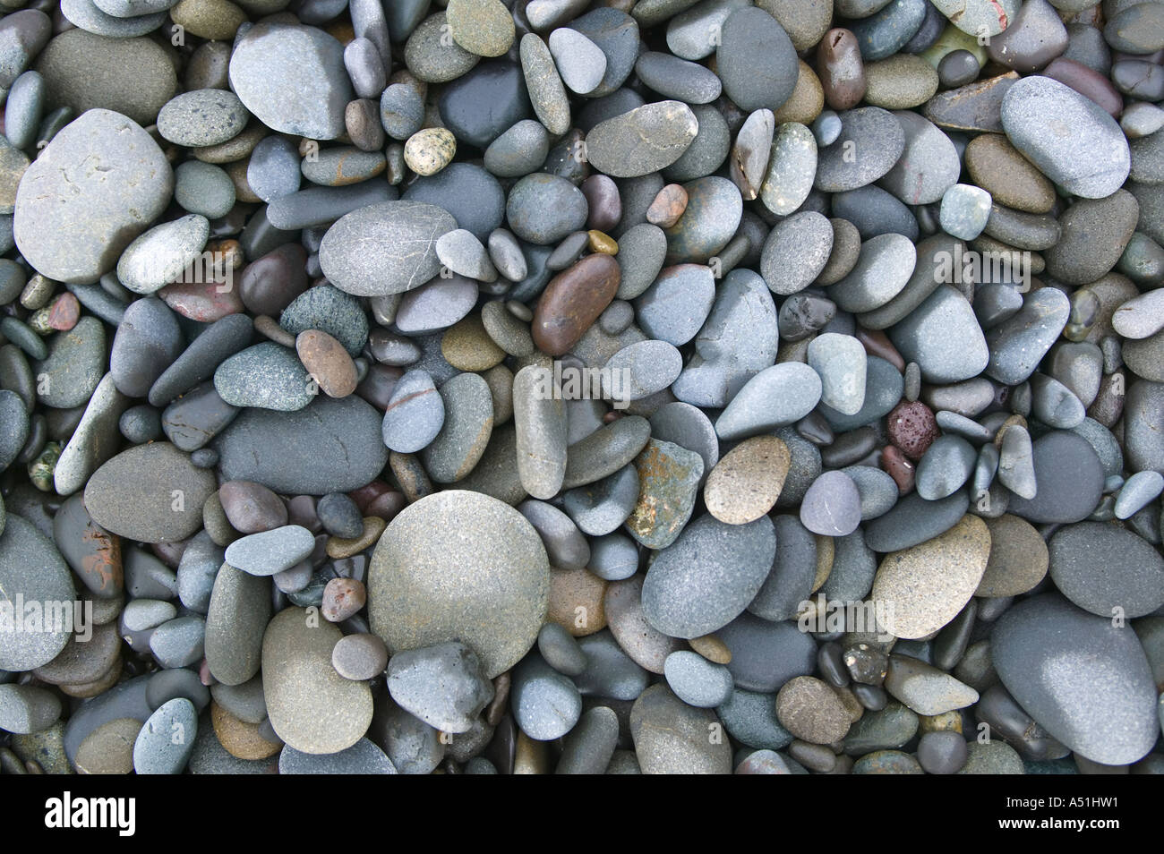 Large grey smooth pebbles hi-res stock photography and images - Alamy