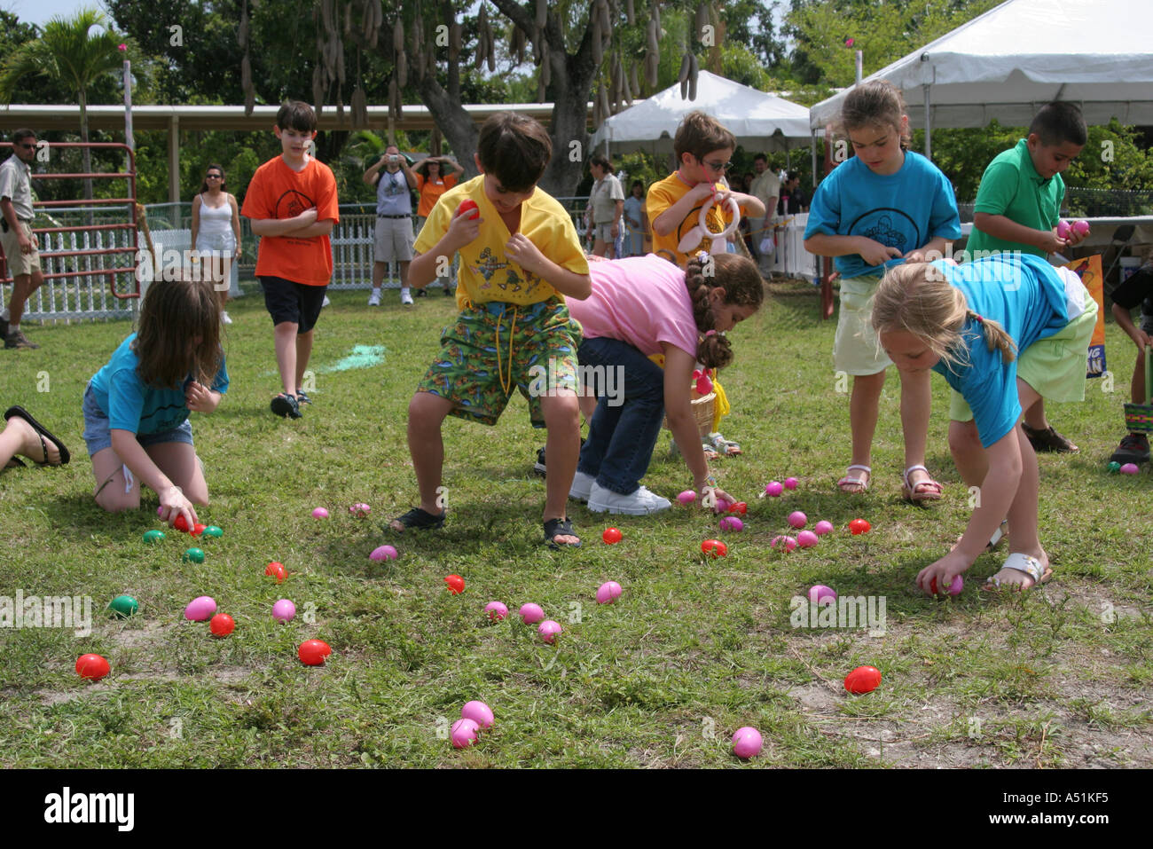 Parrot jungle island easter egg hunt hi-res stock photography and ...