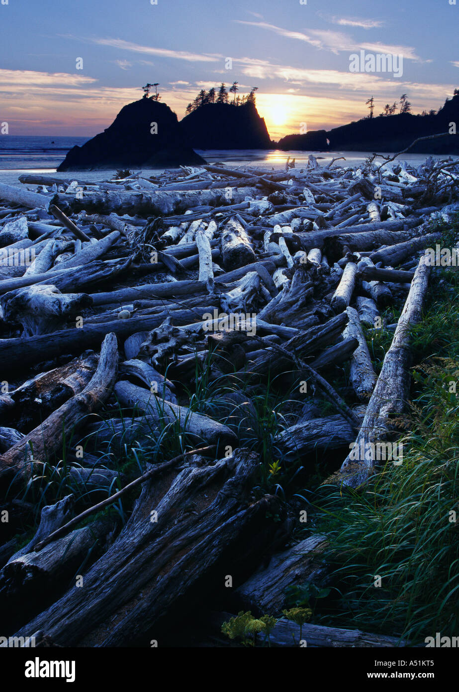 Olympic National Park Coast Washington USA Stock Photo - Alamy