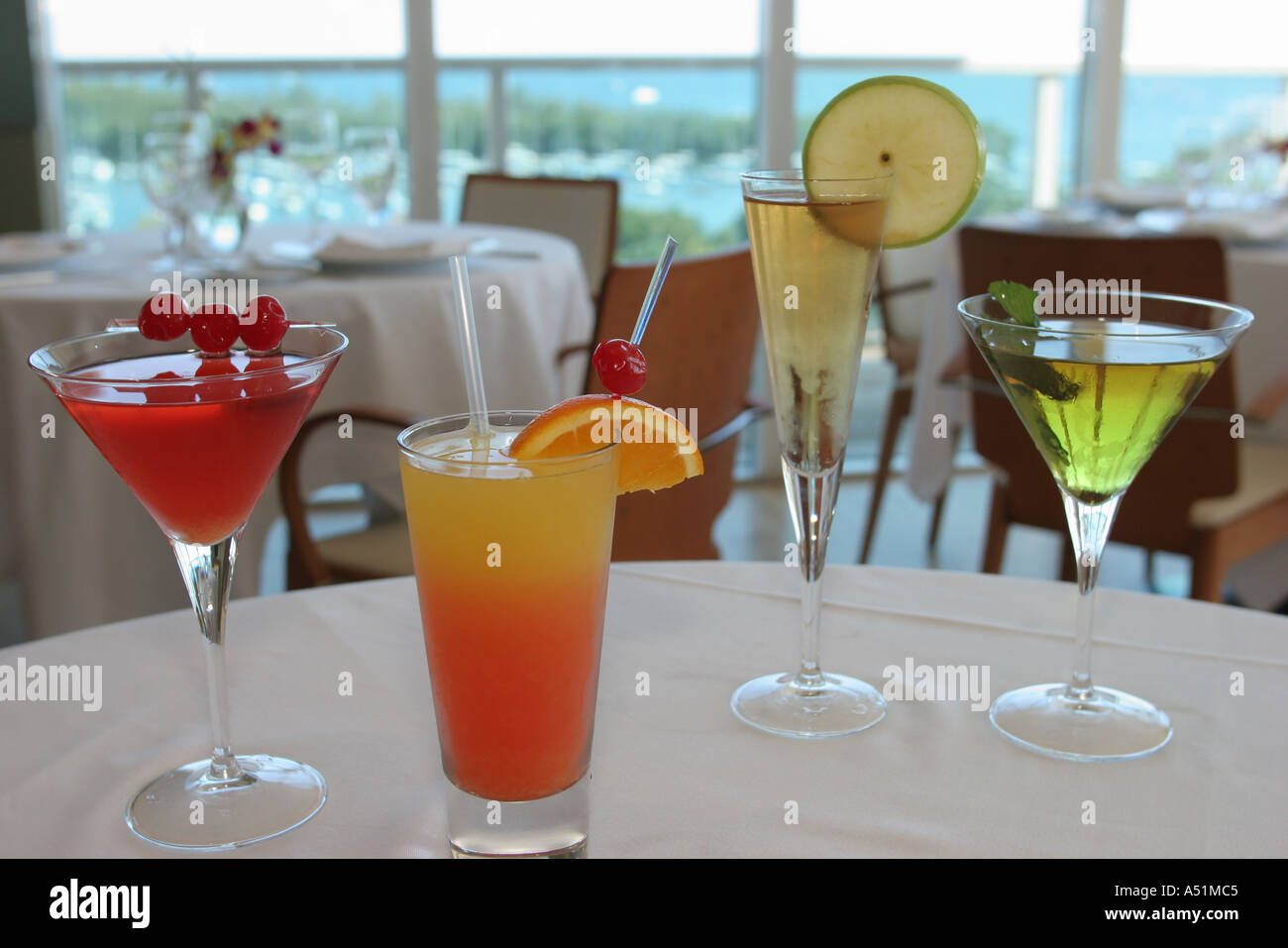 Miami Florida,Coconut Grove,Hotel Arya BW Premier Collection,hotels ...