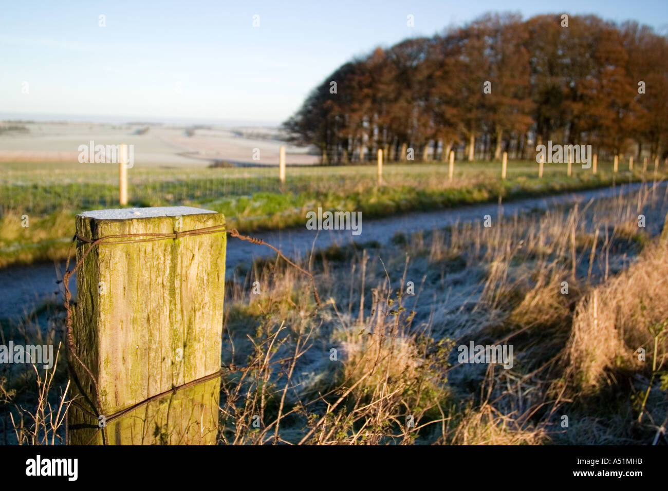 Fence post track The ridgeway near Barbury Castle and Avebury Monument ...