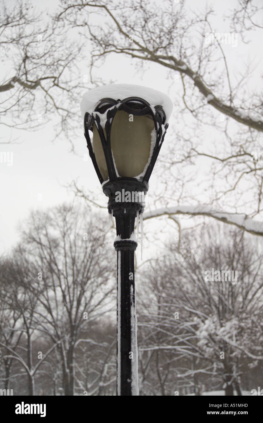 Snow covered street lamp in Central Park Stock Photo - Alamy