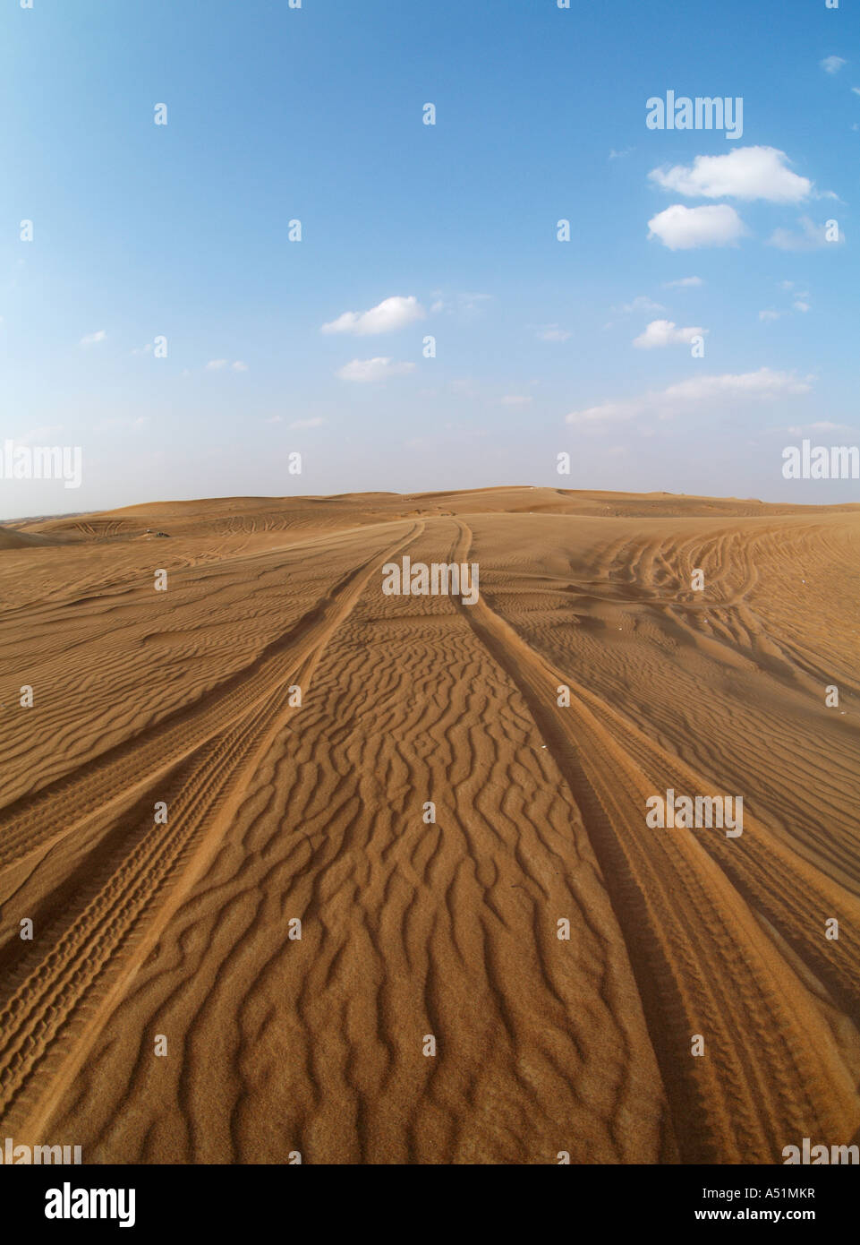 tracks in the desert Stock Photo - Alamy