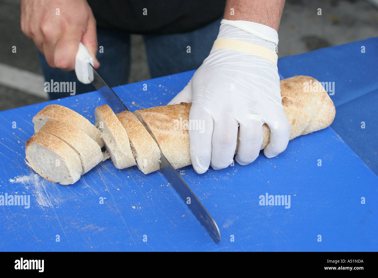 Miami Florida,Coral Gables,Merrick Festival,festivals,celebration,fair ...