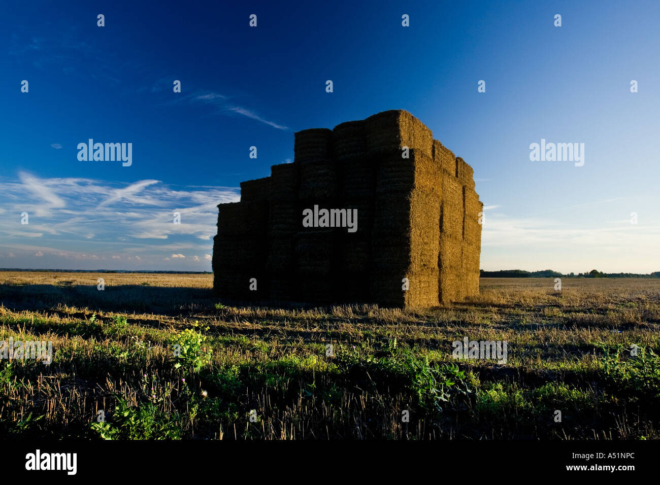 Field furrow after harvest agricultural hi-res stock photography and ...