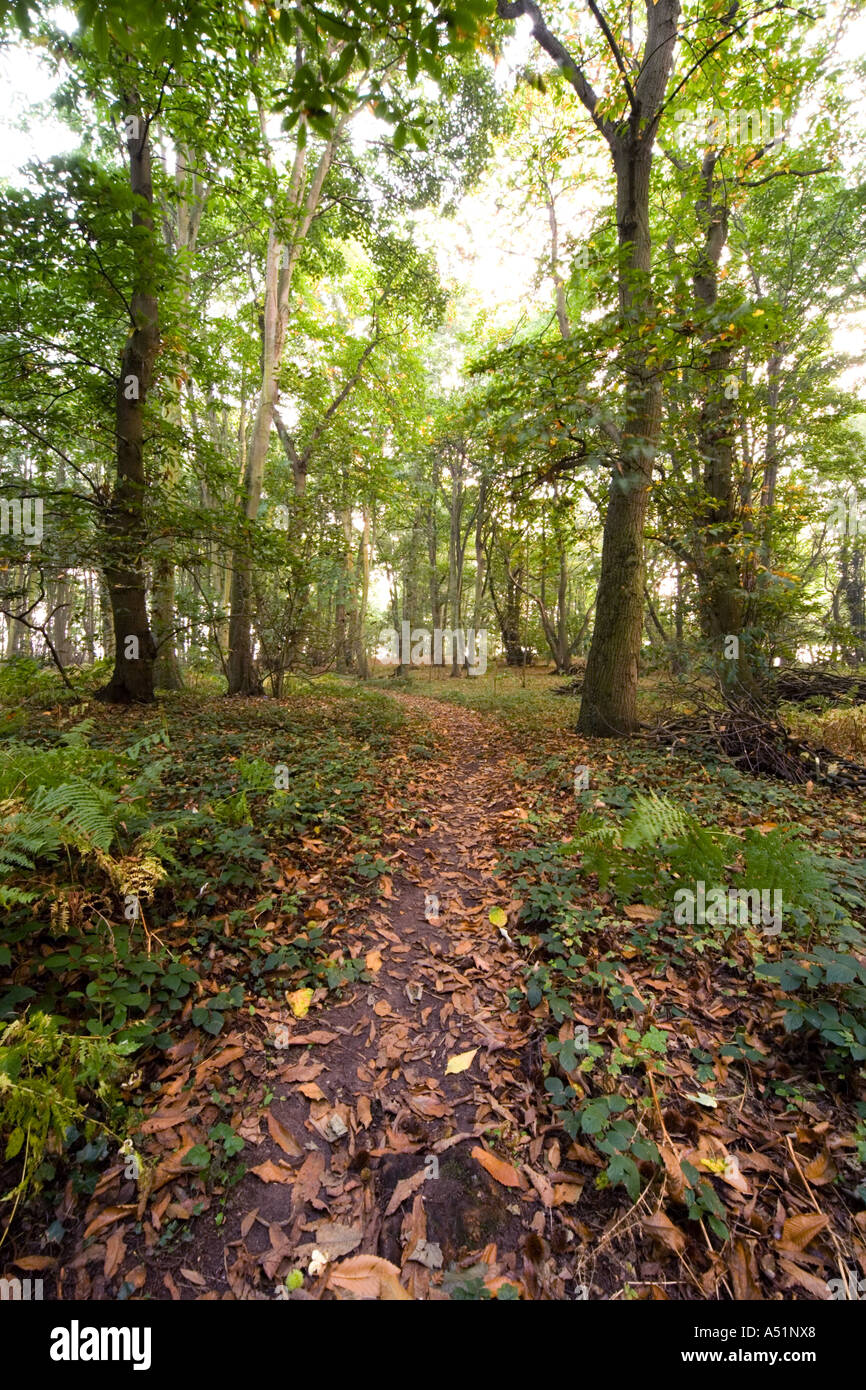 Barton track hi-res stock photography and images - Alamy