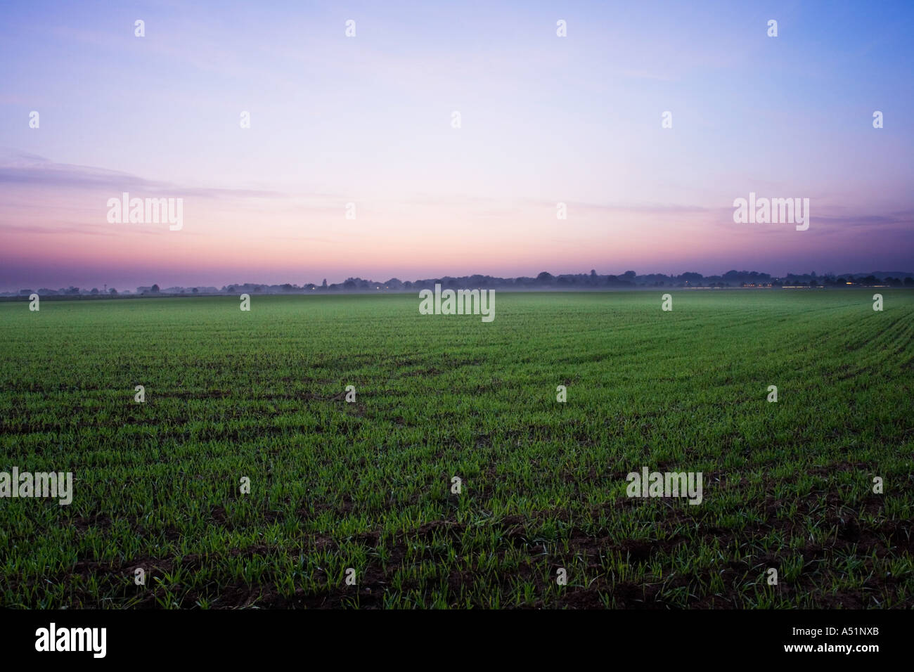 Low angle field mist hi-res stock photography and images - Alamy