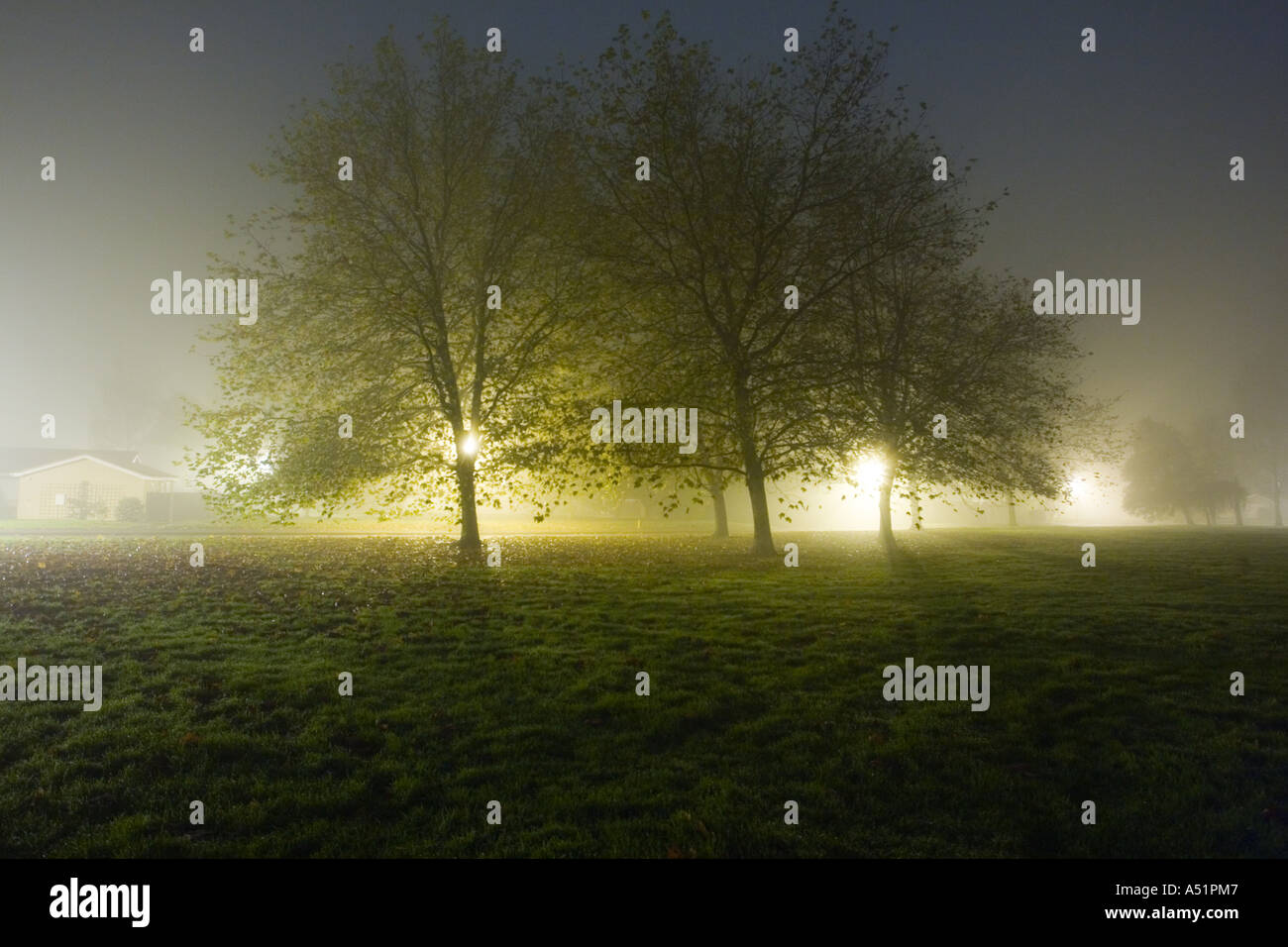 a foggy night in a village in Suffolk, UK Stock Photo - Alamy