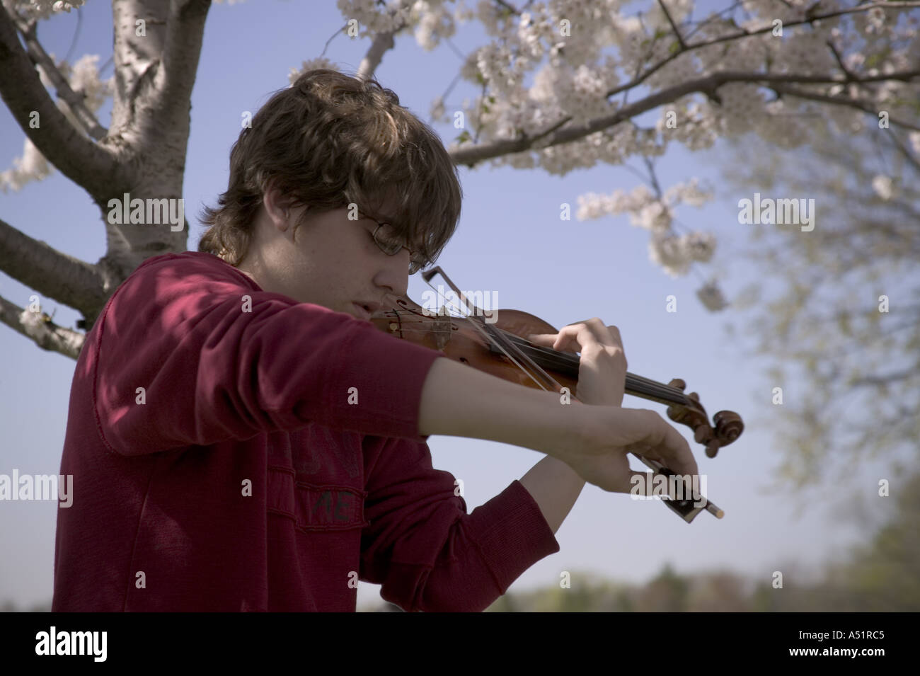 Teen Boy Playing Violin Stock Photos & Teen Boy Playing Violin Stock ...