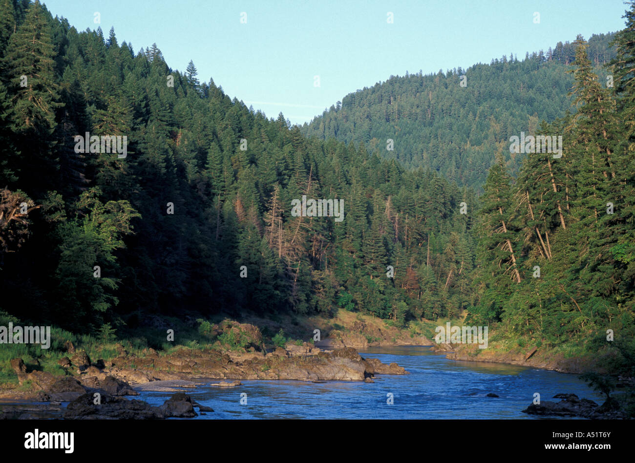 BLM Medford District OR Rogue River Siskiyou Mountains Spruce Fir ...