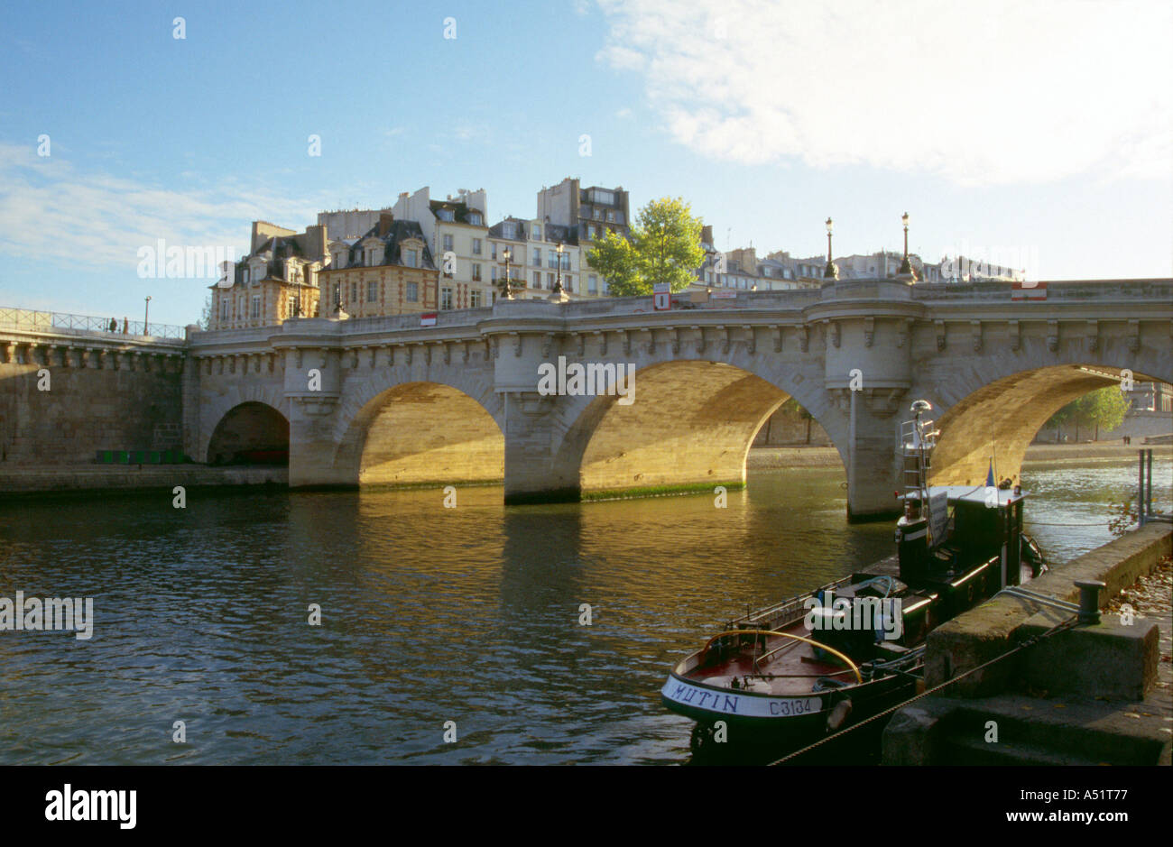 Pont Neuf Bridge Over the River Seine, Paris, France Stock Photo - Alamy