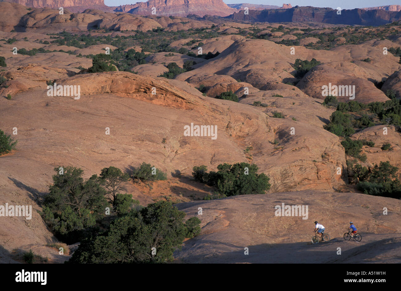 Moab UT Mountain biking on the Moab Slickrock Bike Trail Navajo ...