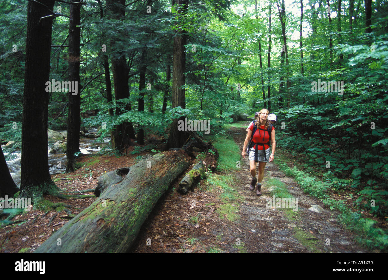 Pownal VT Hiking on the Broad Brook Trail in Vermont s Green Mountains ...