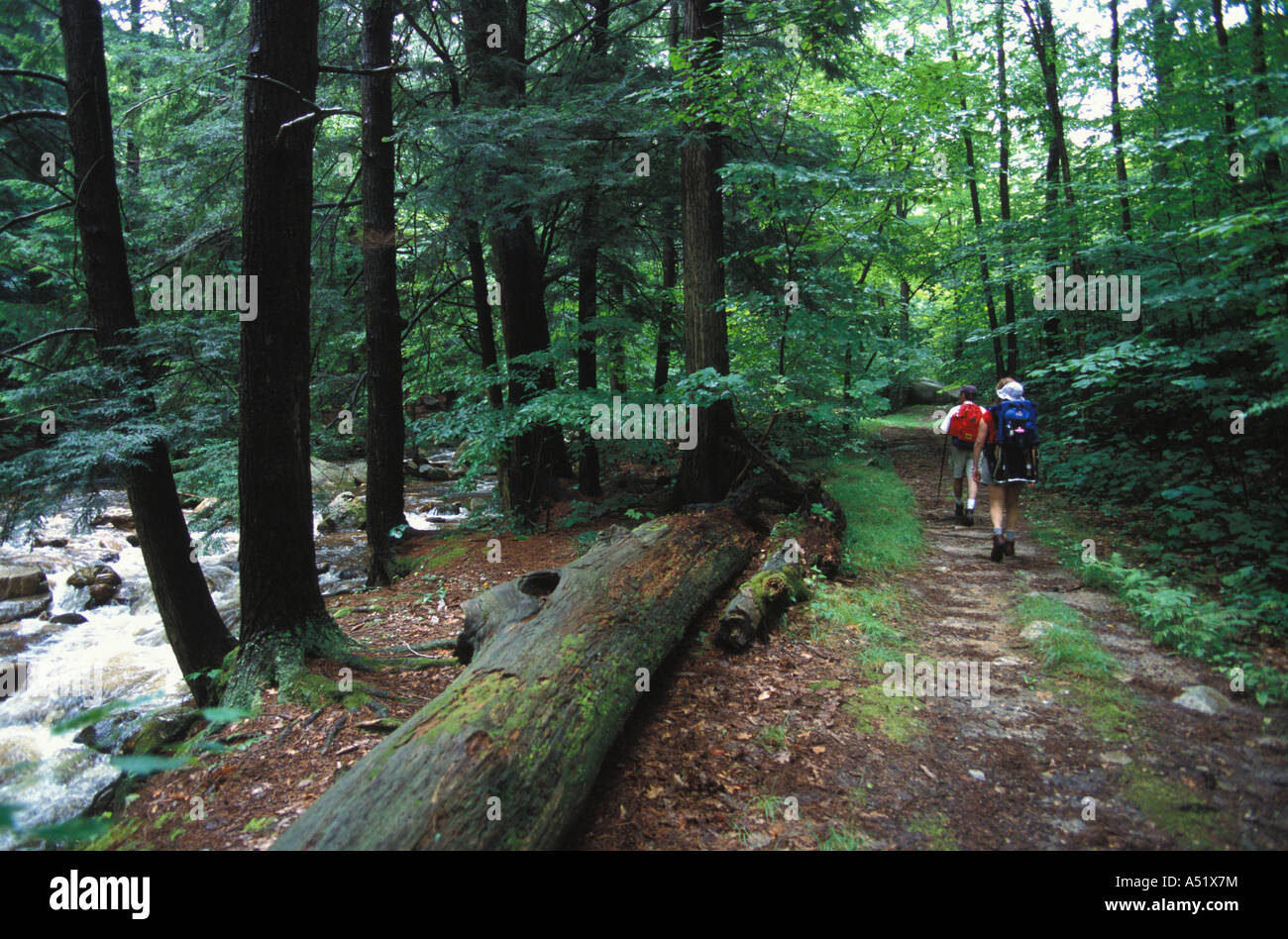 Pownal VT Hiking on the Broad Brook Trail in Vermont s Green Mountains ...