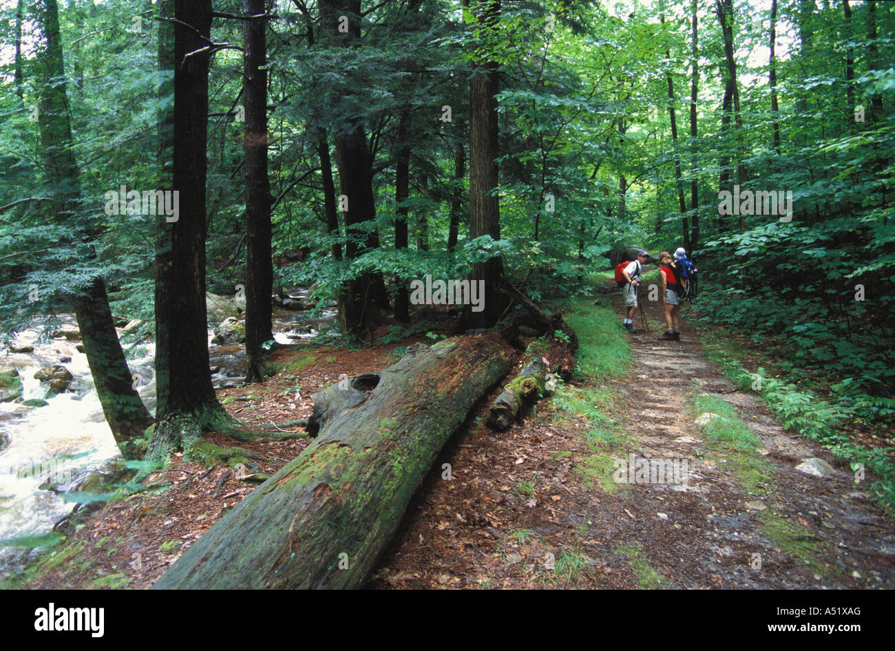 Pownal VT Hiking on the Broad Brook Trail in Vermont s Green Mountains ...