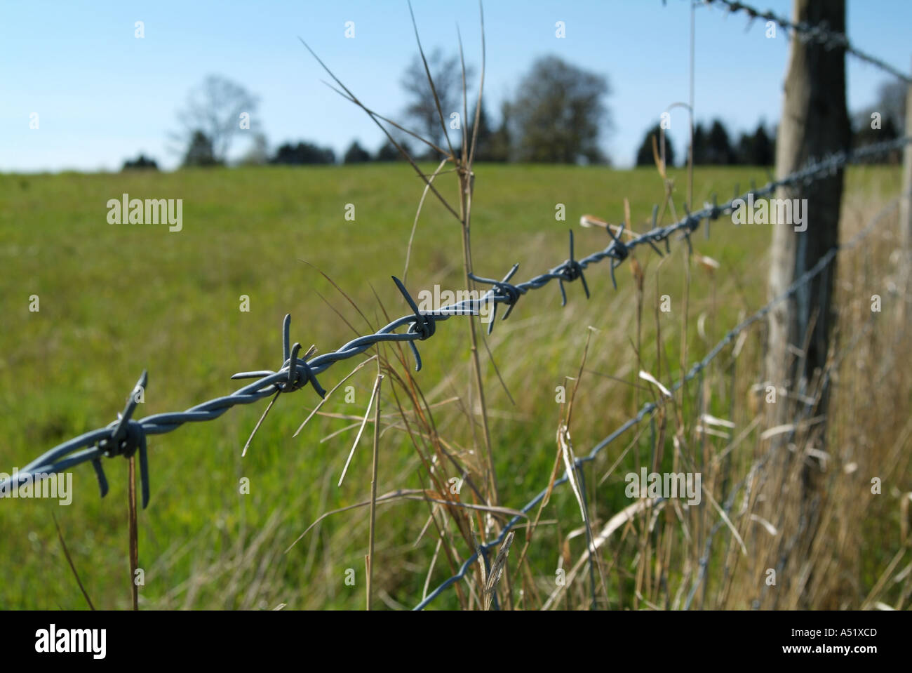 Barbed wire fence on farmland in English countryside Stock Photo - Alamy