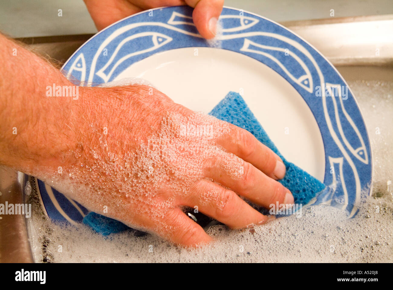 Man washing dishes by hand Stock Photo - Alamy