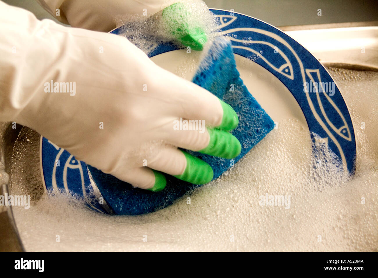 Washing plates sponge rubber hi-res stock photography and images - Alamy