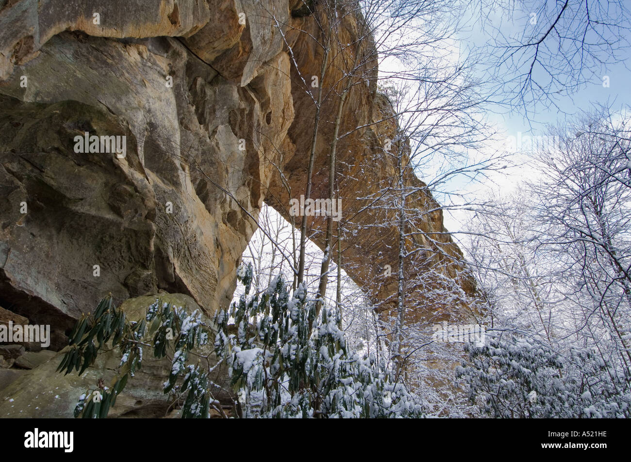 Natural Bridge Arch After Winter Snowfall Natural Bridge State Park ...