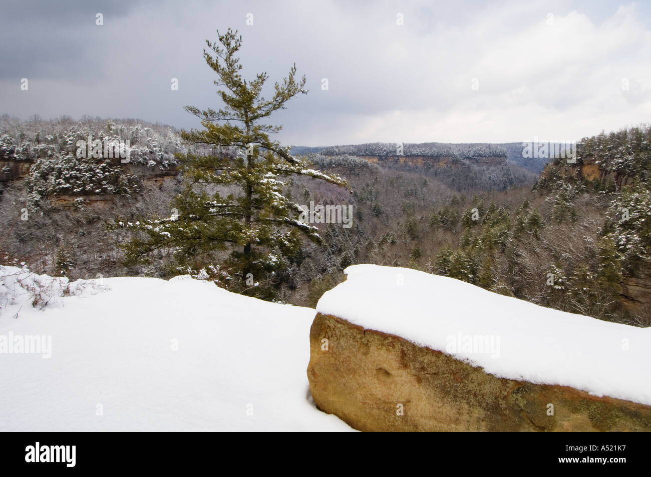Kentucky Landscape Winter