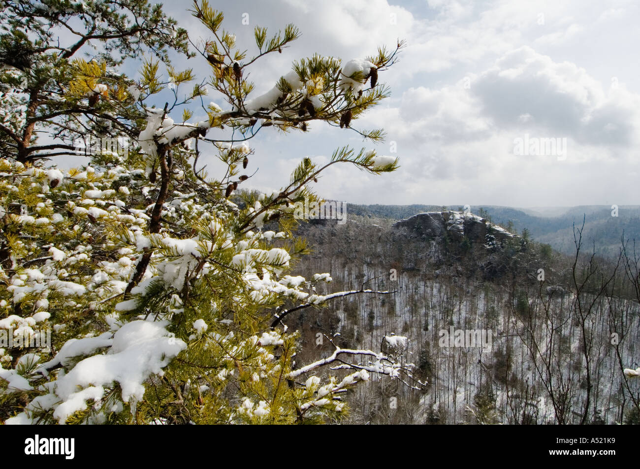 View of Light Winter Snowfall In Red River Gorge Geological Area from ...