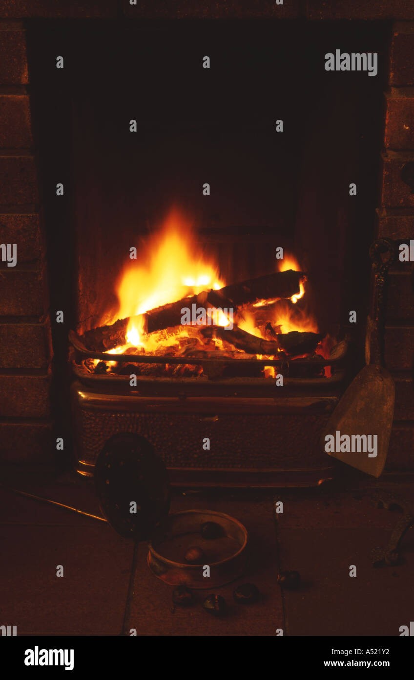 Chestnuts Roasted on Open Fire (Medium Format Stock Photo - Alamy