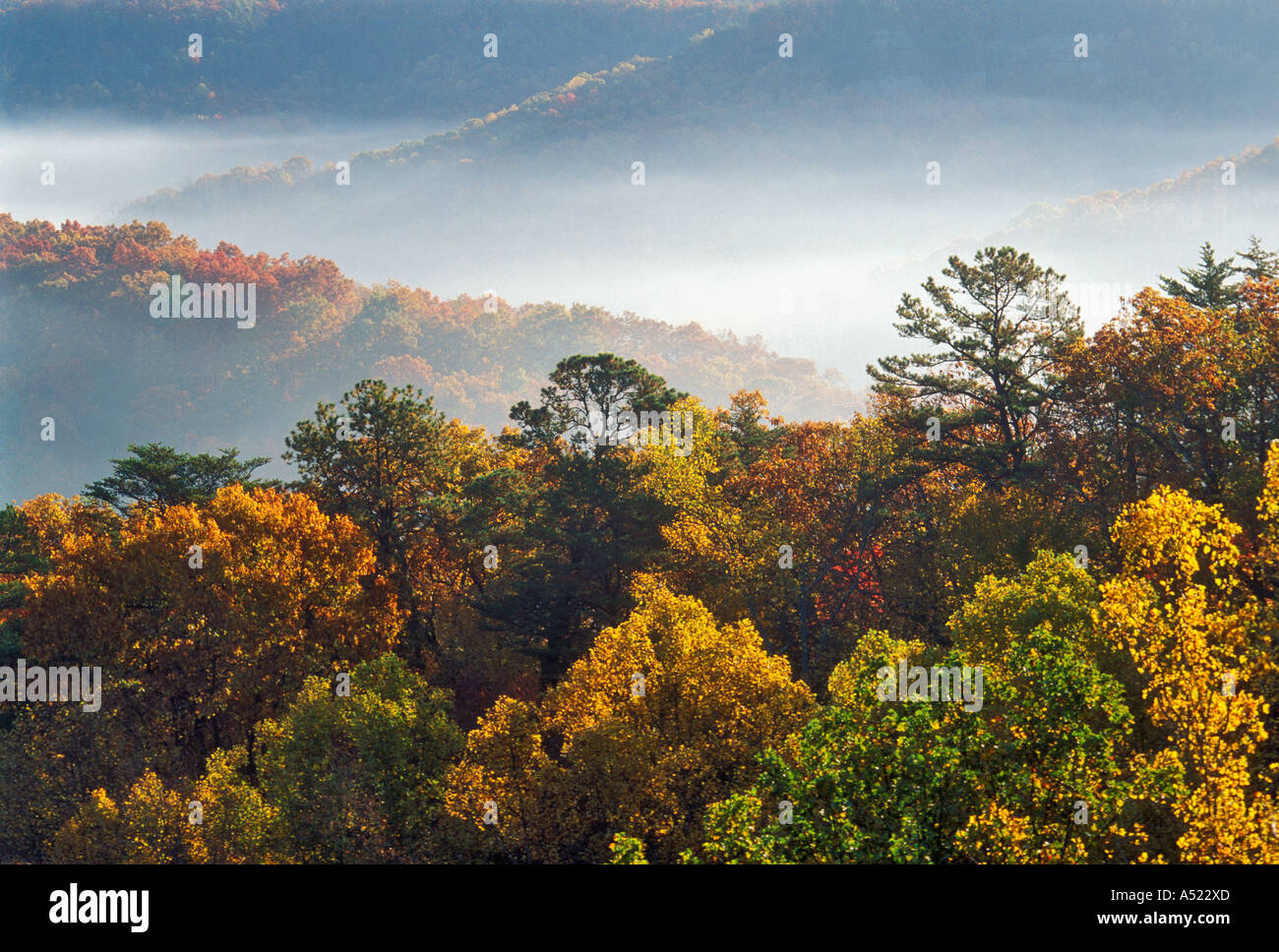 Autumn Mist Ridges from Auxier Ridge Red River Gorge Kentucky Stock ...