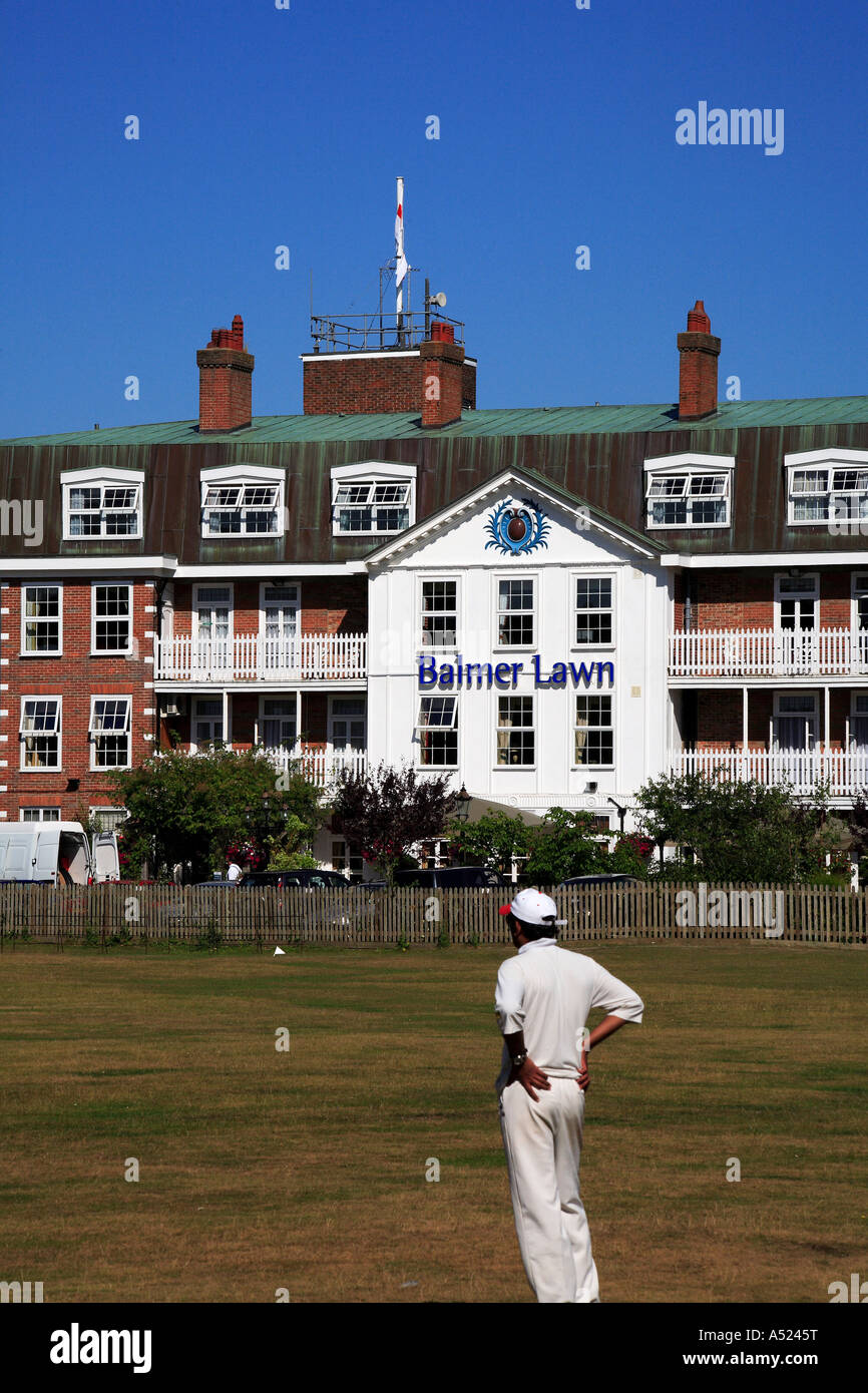 New forest cricket match hi-res stock photography and images - Alamy