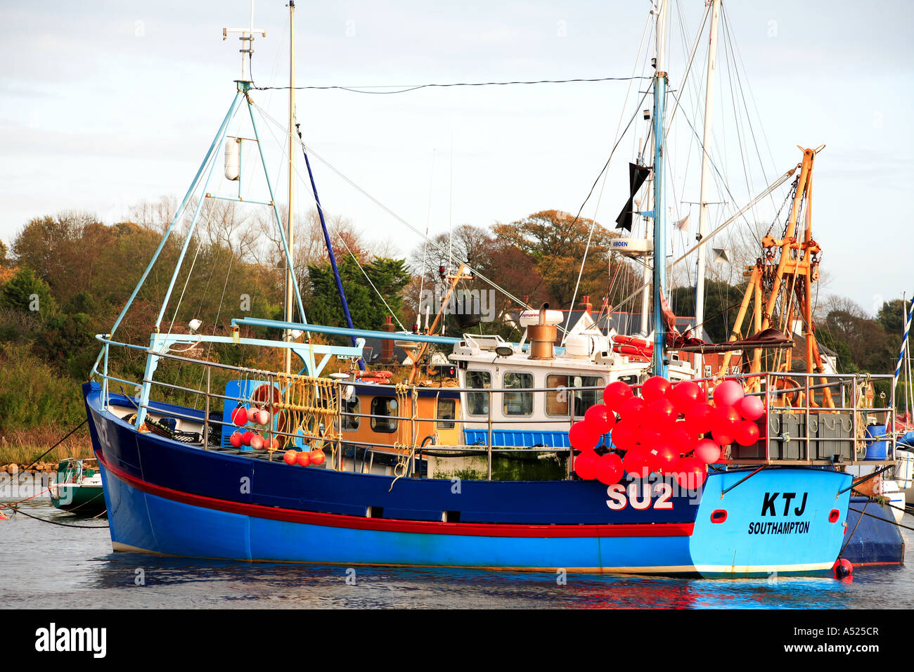 New forest fishing hi-res stock photography and images - Alamy