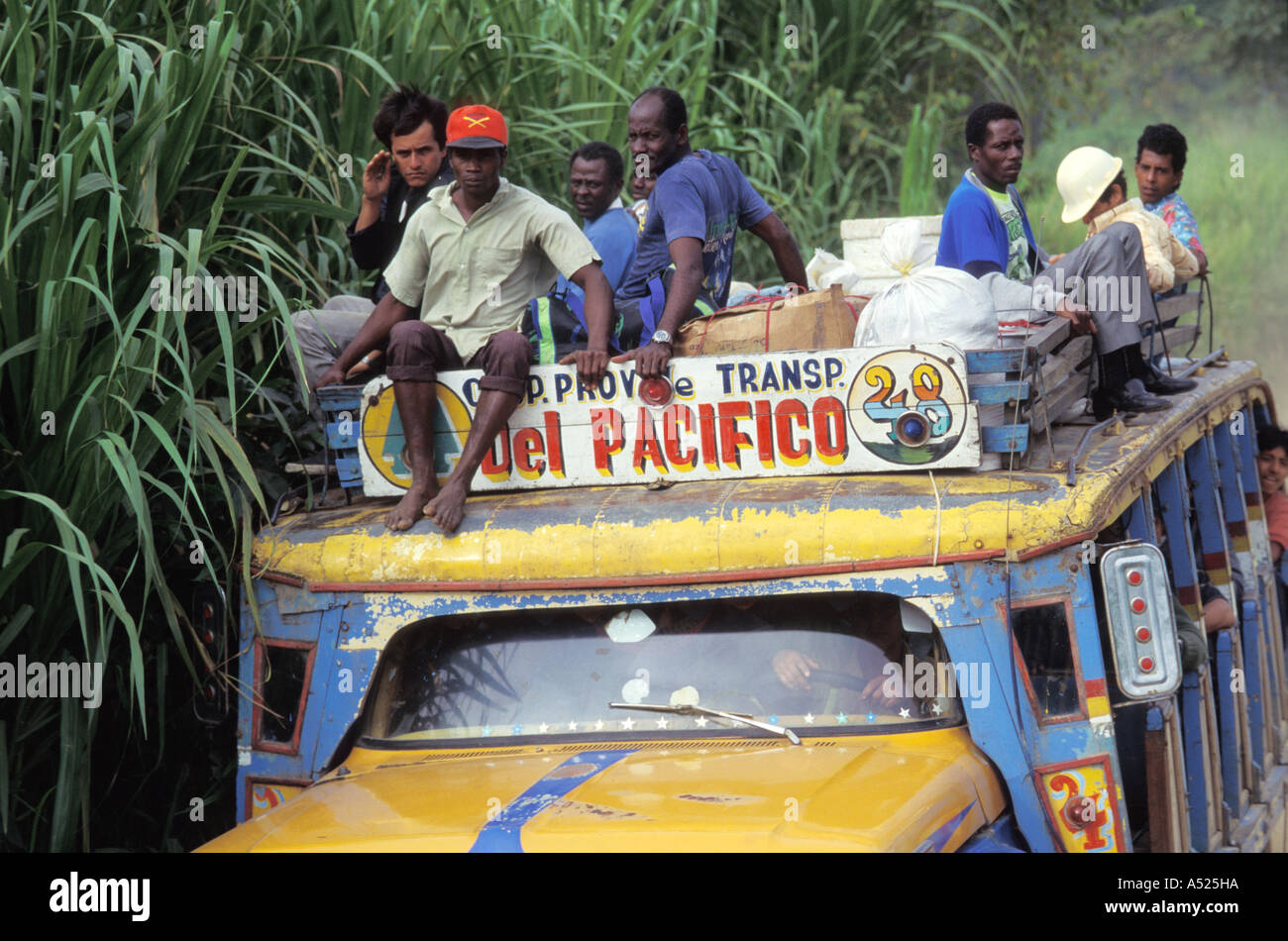 Bus On Roof High Resolution Stock Photography and Images - Alamy