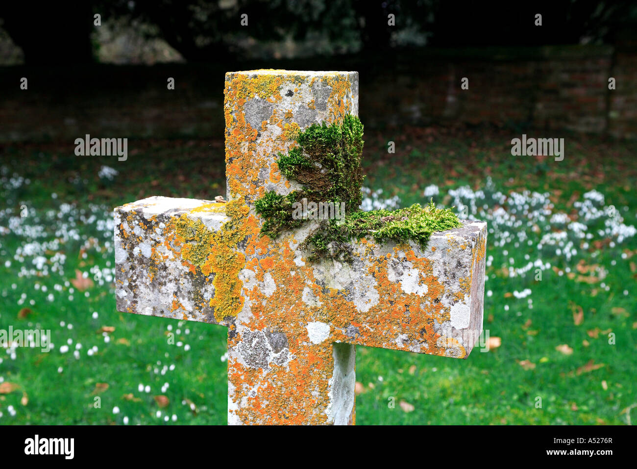 Cross in Graveyard Stock Photo - Alamy