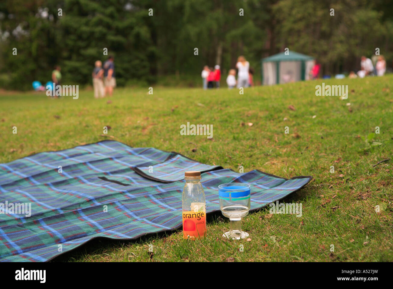 Picnic in the Forest Stock Photo - Alamy