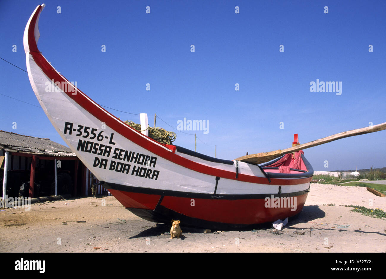 Traditional xavega boat at Vagueira beach near Aveiro Portugal Stock ...