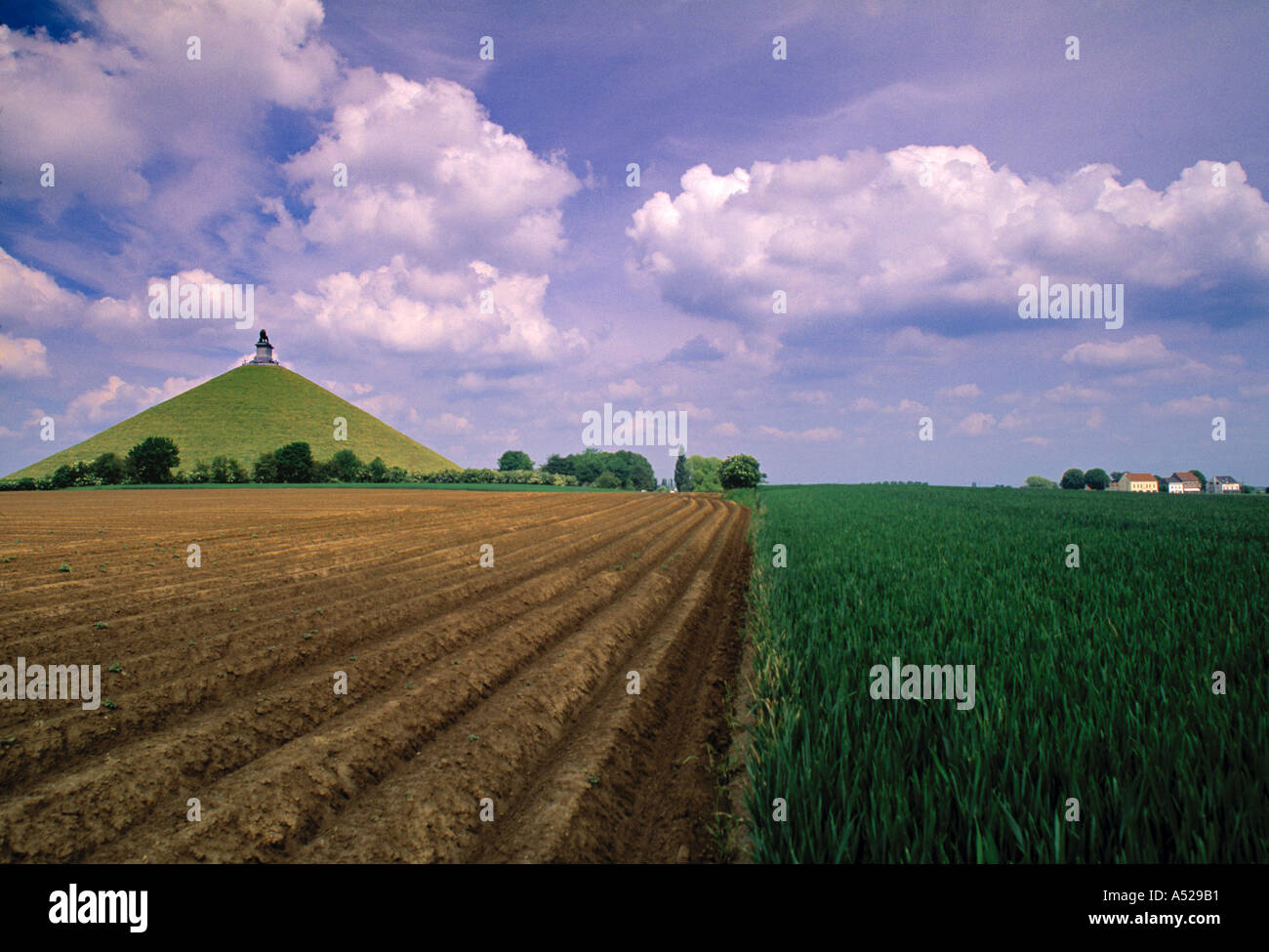 Waterloo monument du waterloo hi-res stock photography and images - Alamy