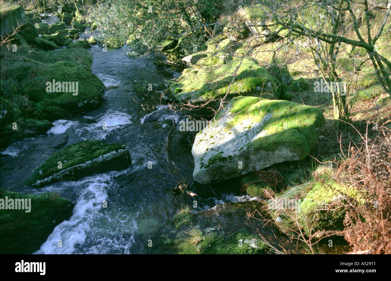 Stream dartmoor hi-res stock photography and images - Alamy