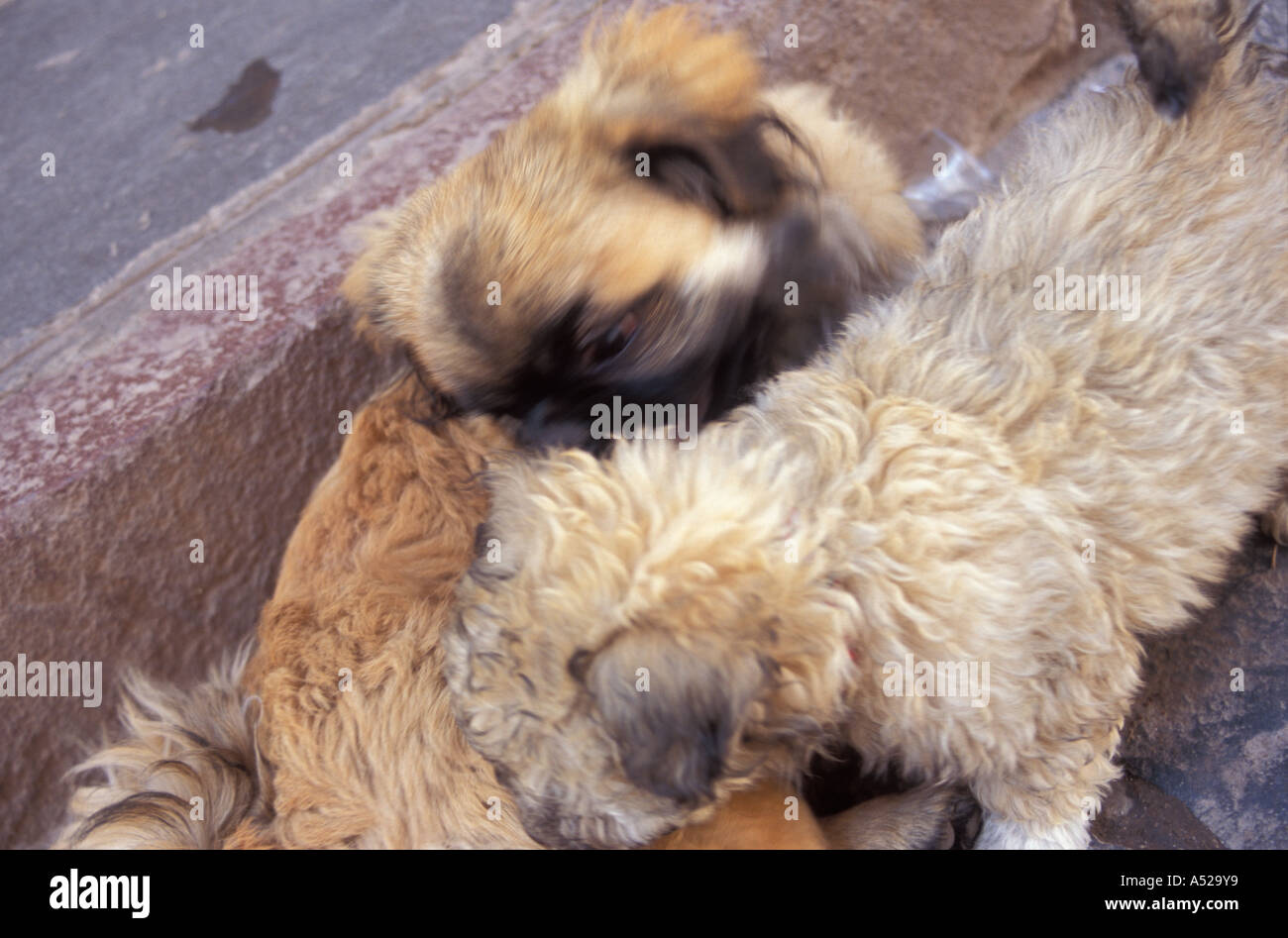 Love cusco hi-res stock photography and images - Alamy