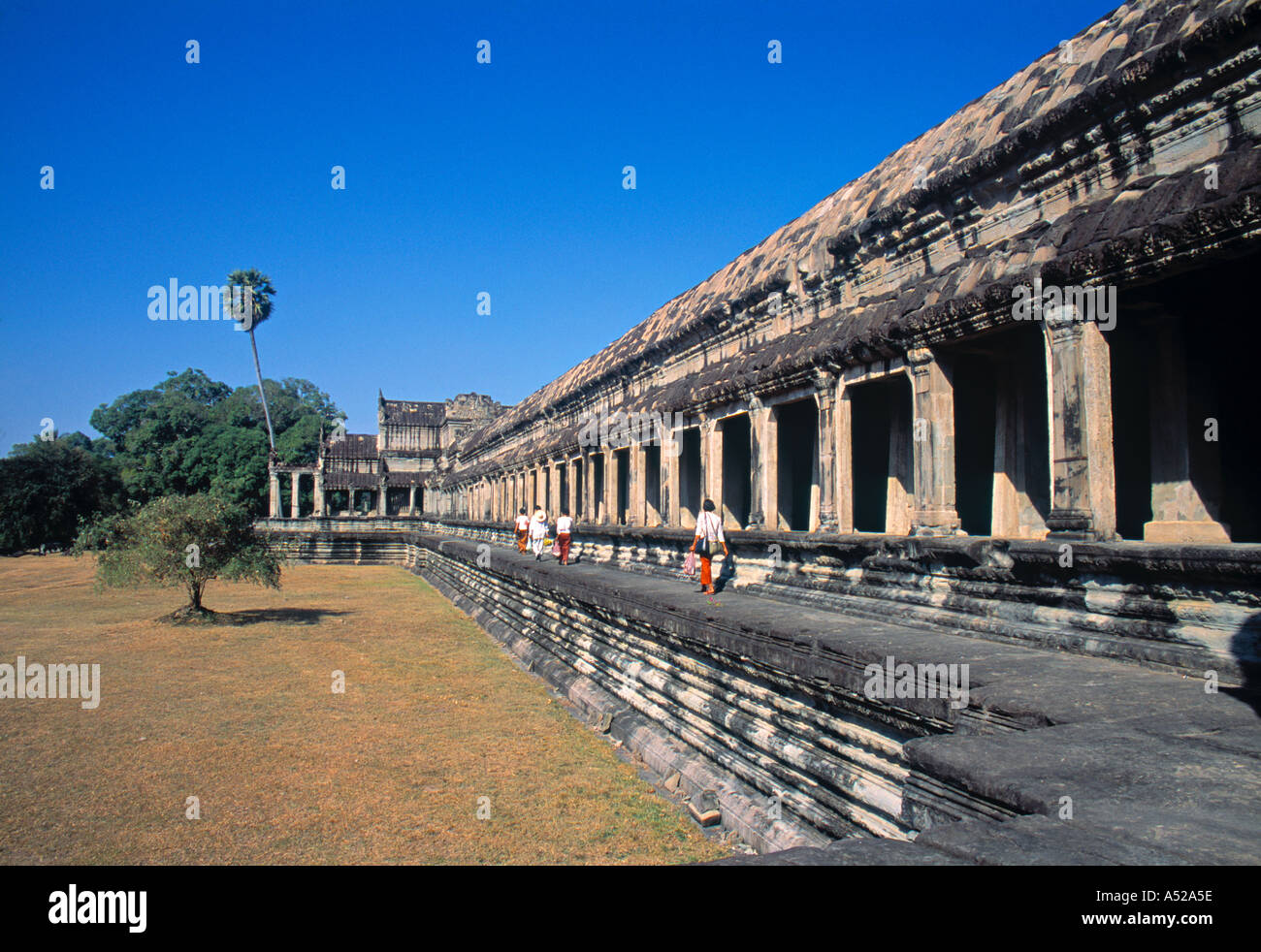 Angkor Wat, Siem Riep, Cambodia Stock Photo - Alamy