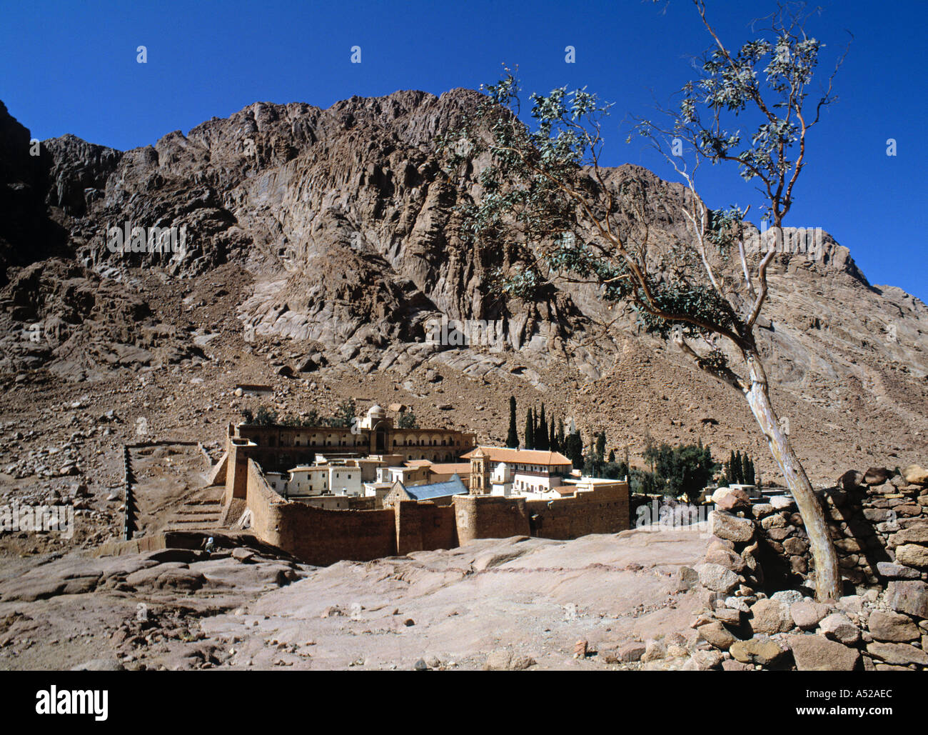 St. Catherines Monastery, Sinai, Egypt Stock Photo - Alamy